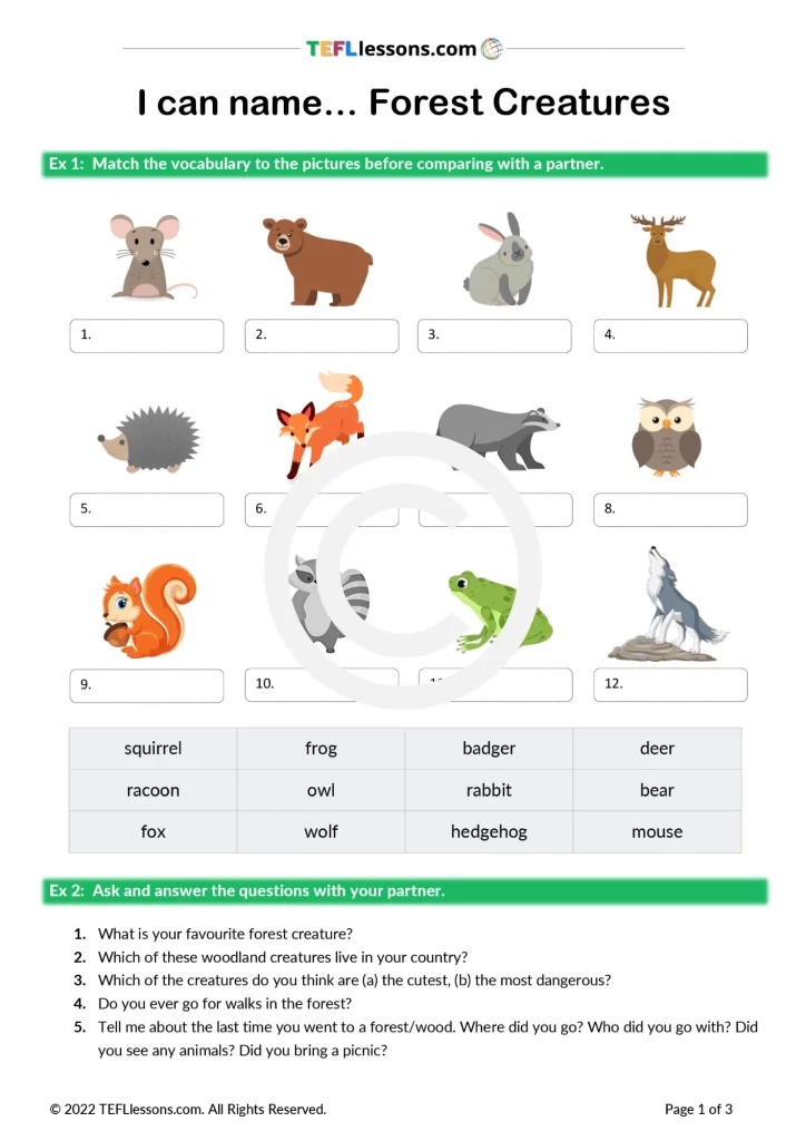 Forest Animals Vocabulary - TEFL Lessons - tefllessons.com | ESL lesson ...