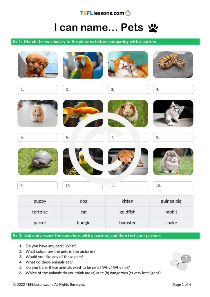 Pets Vocabulary Lesson - TEFL Lessons - tefllessons.com | ESL lesson ...