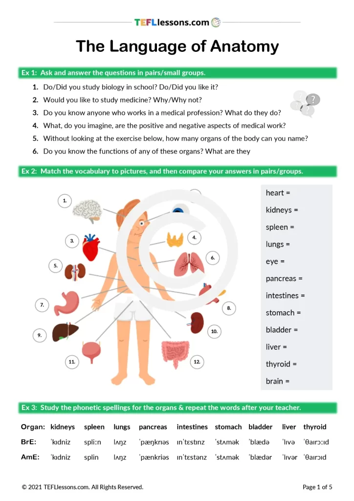 Guide To Body Language English Esl Worksheets For
