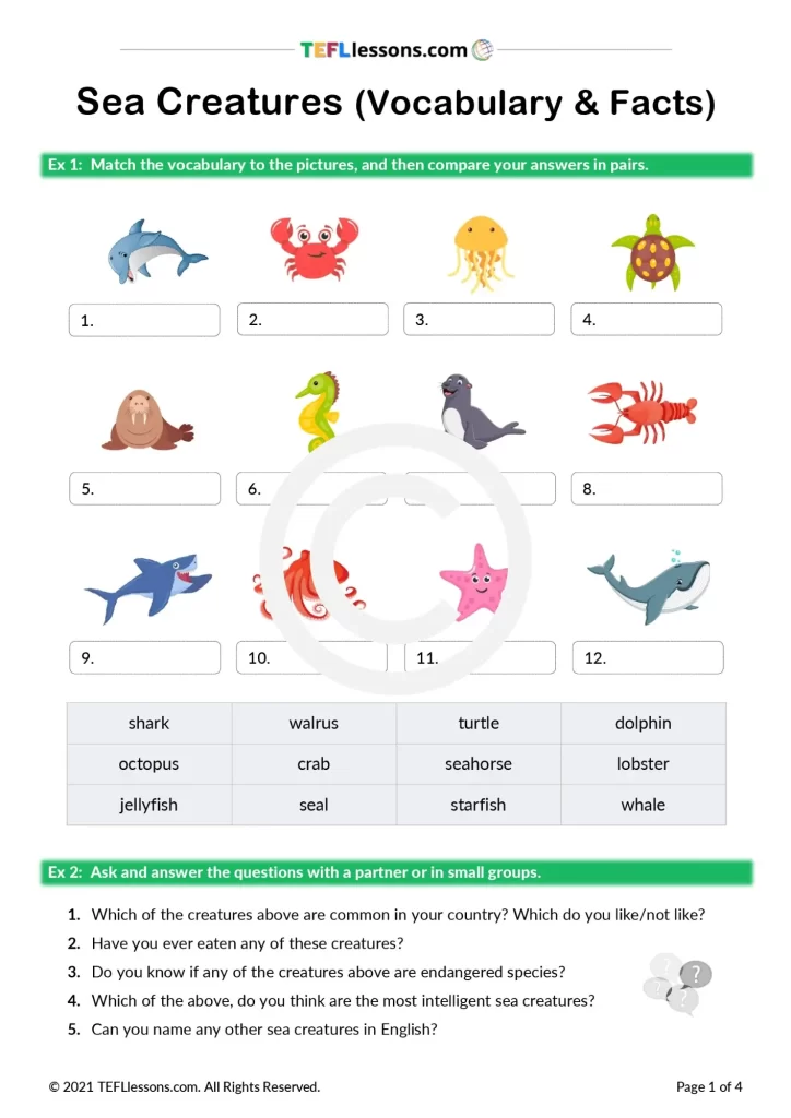 Learn Names Of Sea Animals In English Esl Buzz English Vocabulary BBC