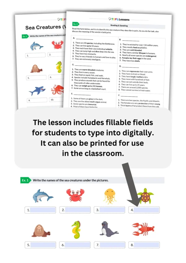 Sea Creatures ESL Worksheet | Vocabulary, Reading & Speaking - TEFL Lessons